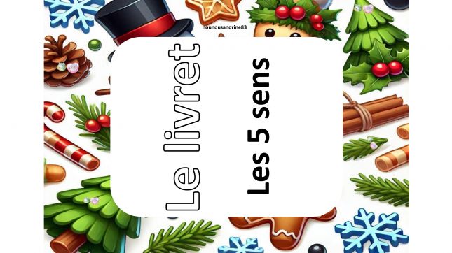 noel livre les 5 sens de noel