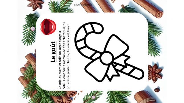 noel livre les 5 sens de noel