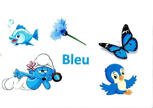 carte d'apprentissage des couleurs : bleu