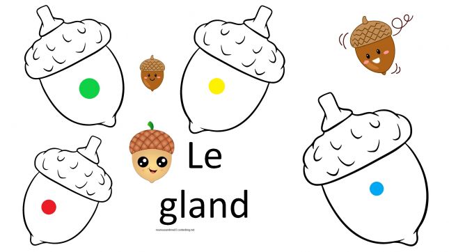 Automne Affiche Avec Gommettes Gland D automne Automne Affiche Avec Gommettes Gland D automne