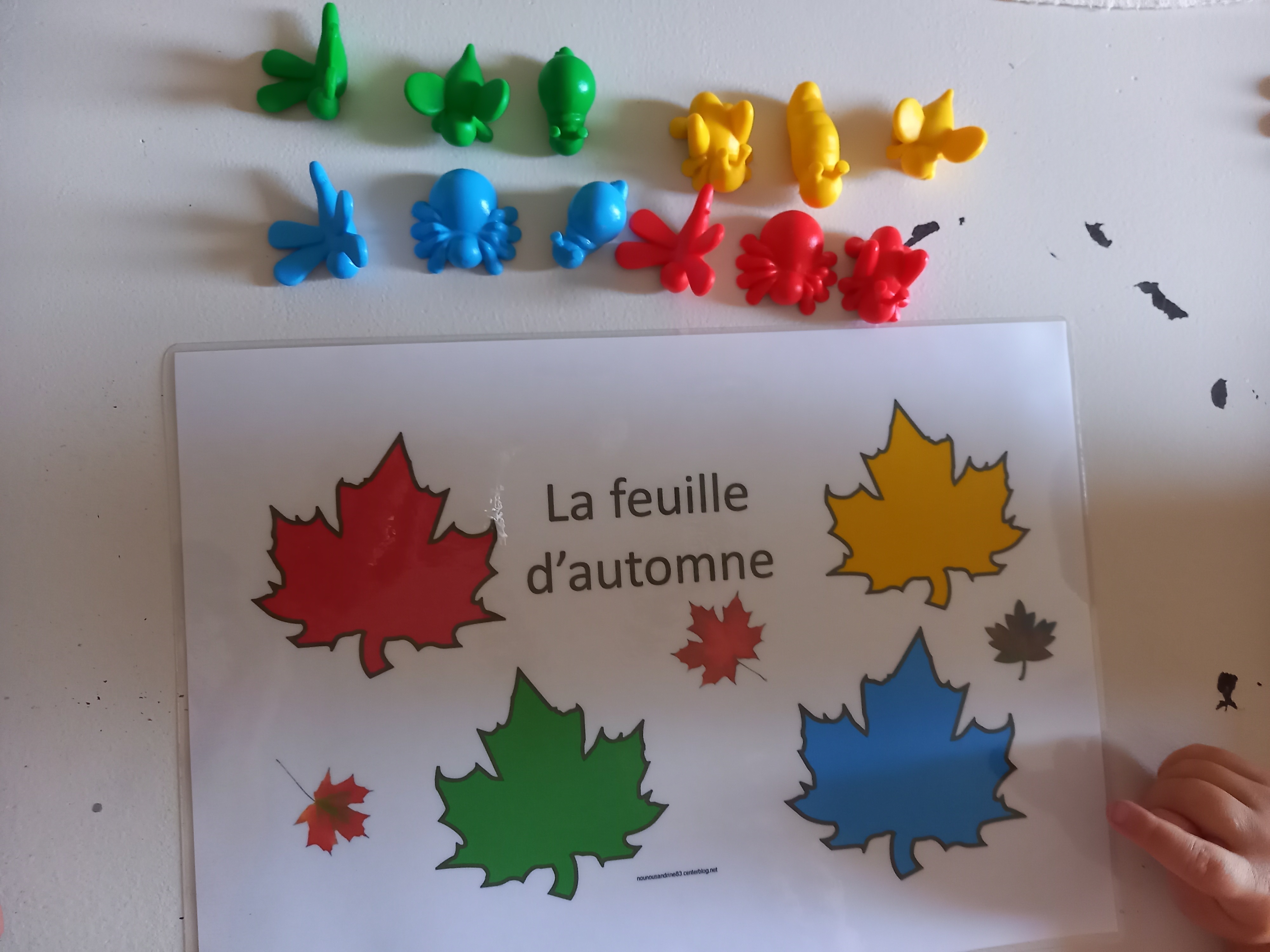 feuilles d'automne apprentissage des couleurs